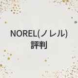 NOREL（ノレル）は高いという評判は本当？利用者の口コミから見えた真実【2025年11月】 - 賢く車に乗るマガジン